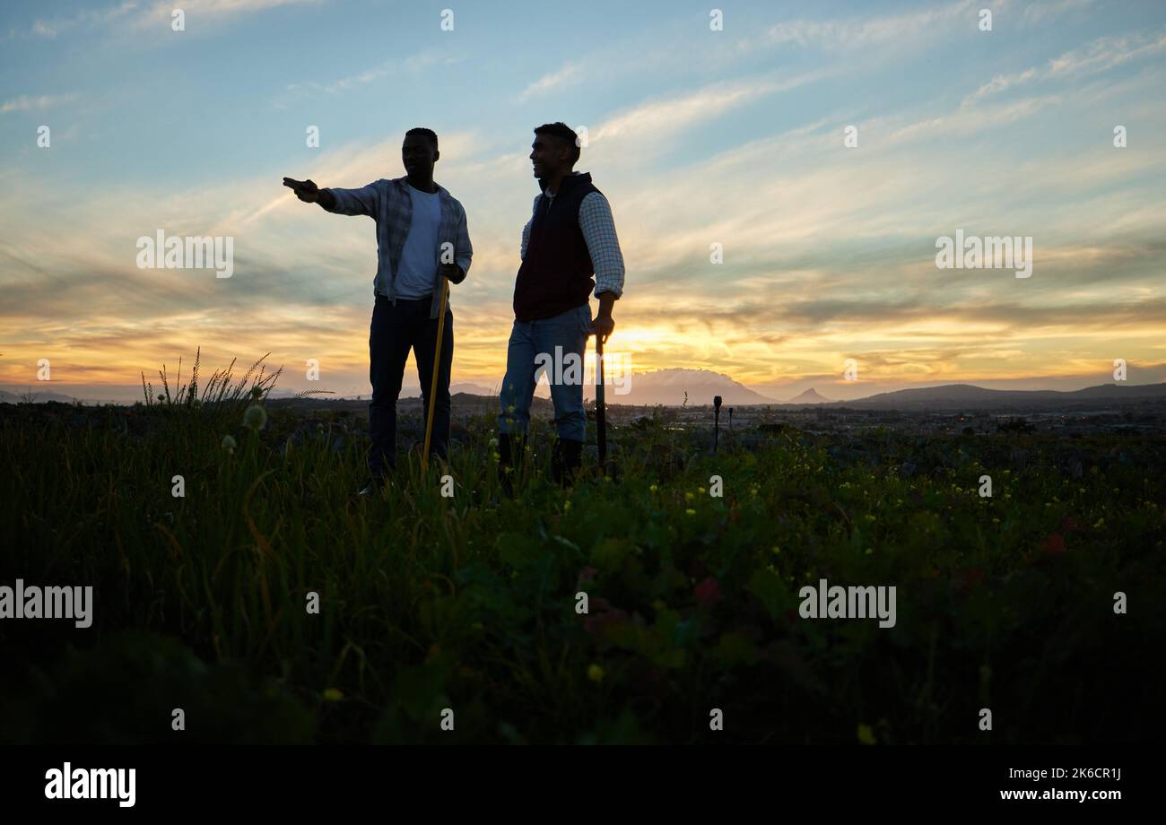 Fresh produce coming right up. two farmers standing on a farm during ...
