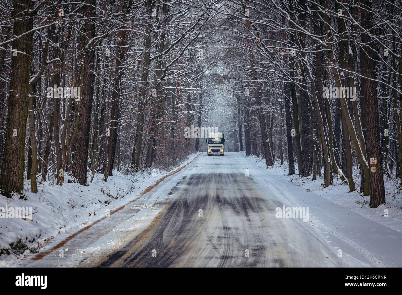 Road covered with snow during winter in Rogow village in Lodzkie ...