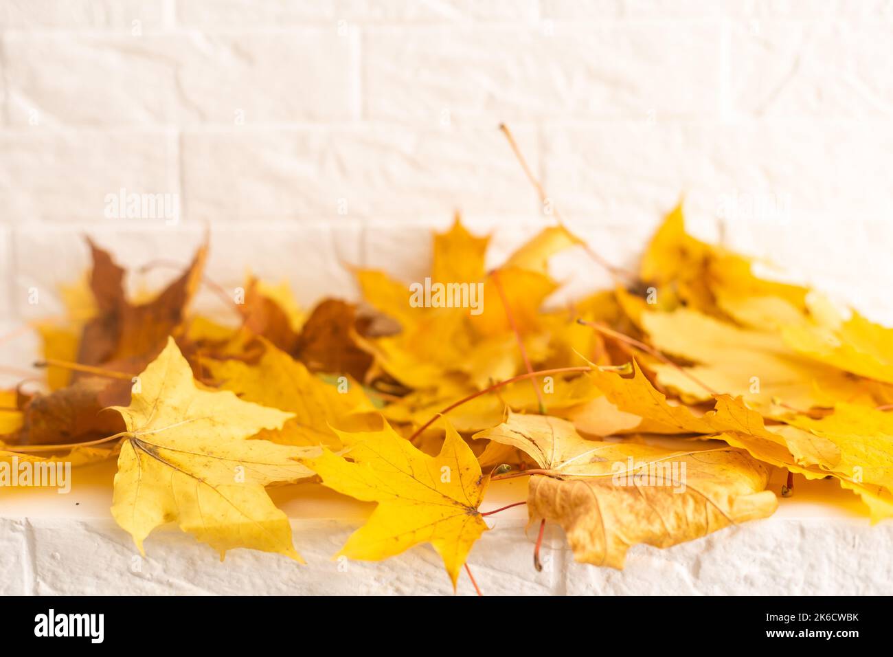 Background group autumn orange leaves Stock Photo - Alamy