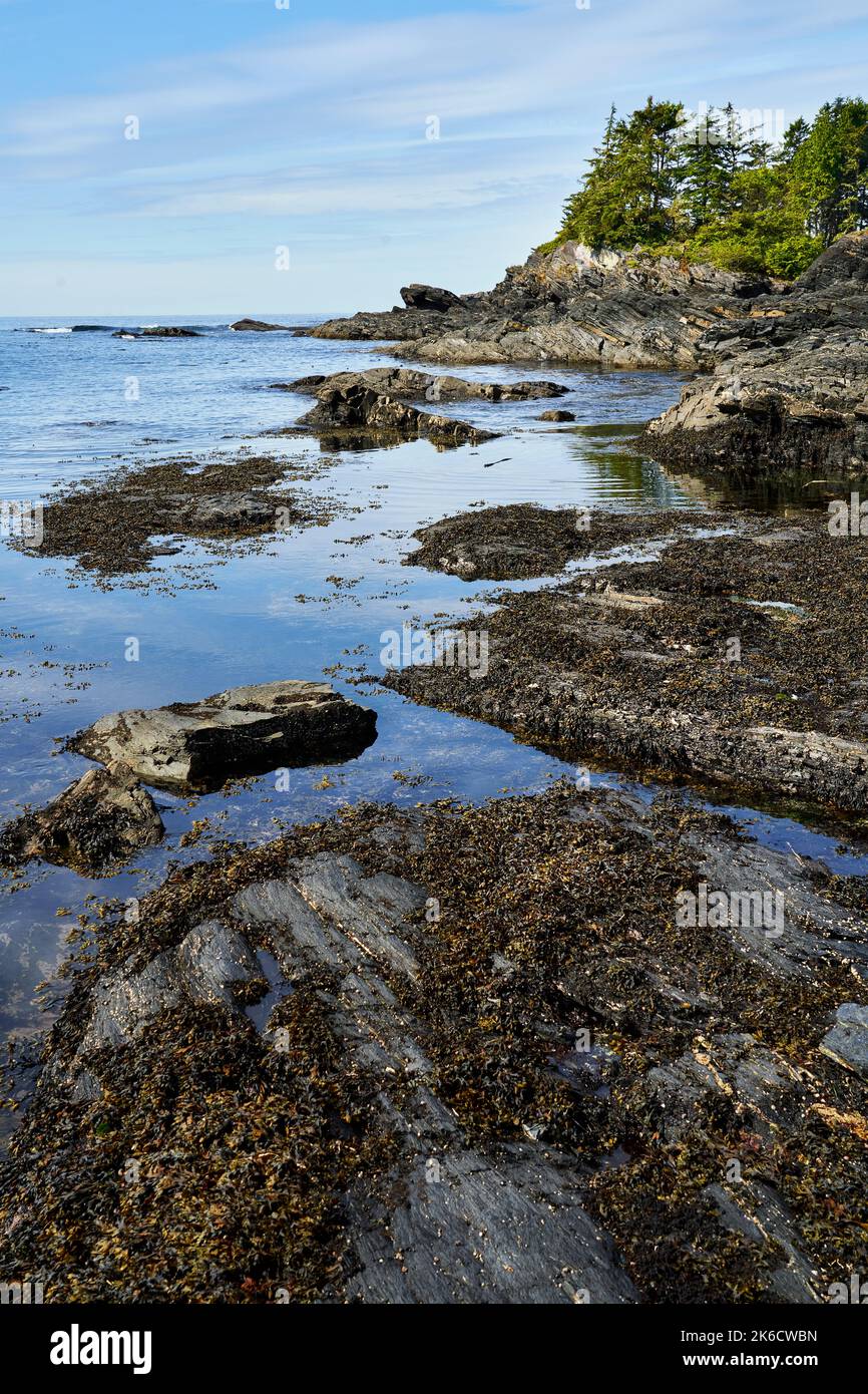 Horizontal view of the rugged, Vancouver Island, west coast shoreline ...