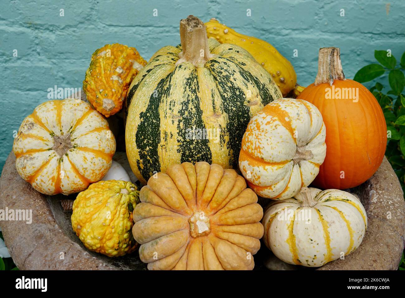 Autumn arrangement of gourds and pumpkins Stock Photo - Alamy