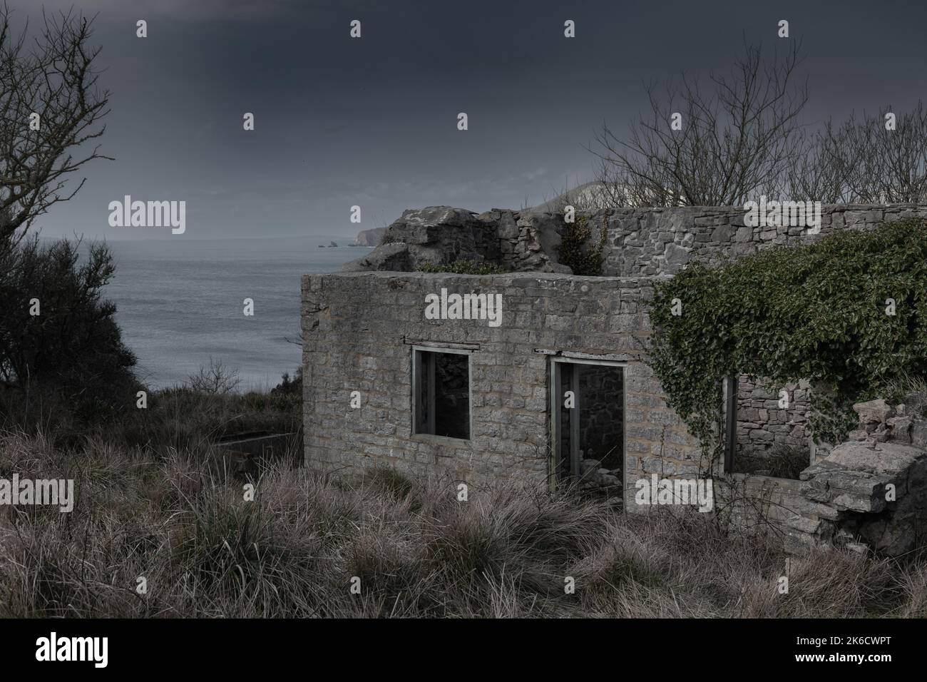 An old ruined brick house surrounded by plants with a gloomy sky ...
