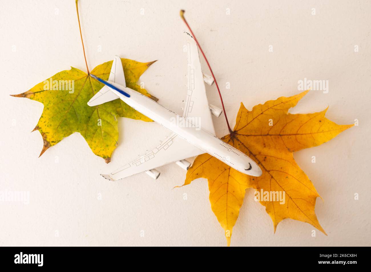 yellow leaves and a toy airplane Stock Photo - Alamy
