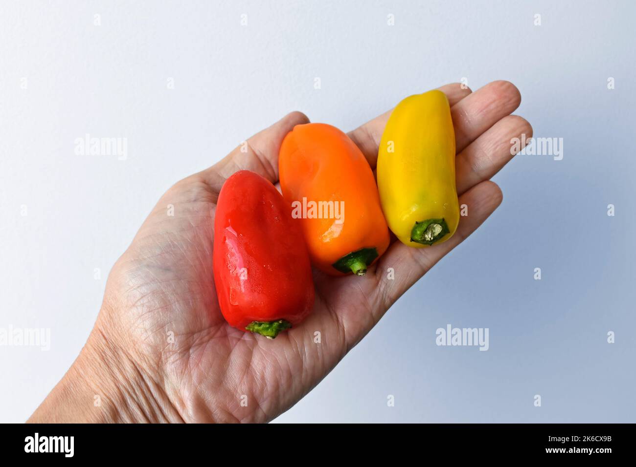 Mini bell peppers on hand in a bright background Stock Photo - Alamy