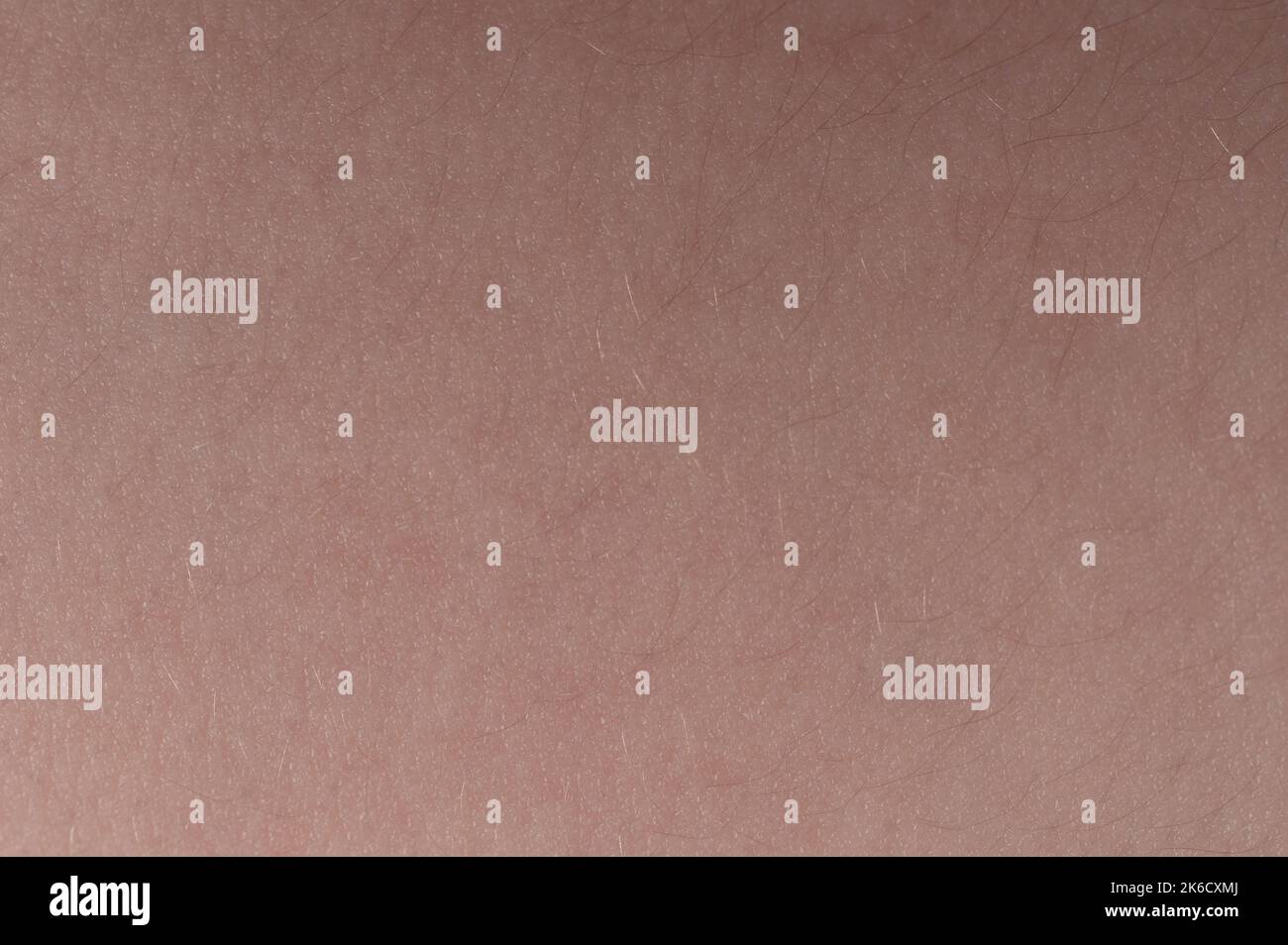 Texture of light pink human skin macro close up view Stock Photo - Alamy