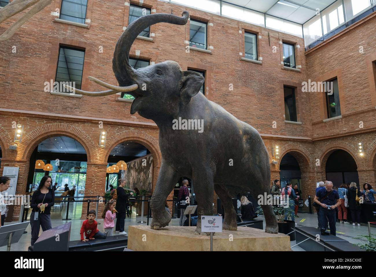 Mummies mascot hi-res stock photography and images - Alamy