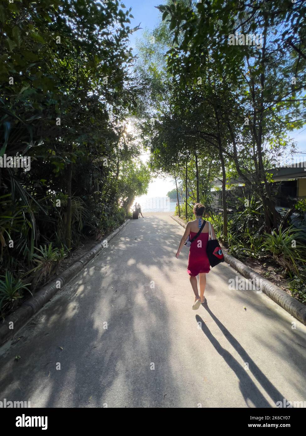Vertical, back view of a lady dress in red dress, travel alone down the ...