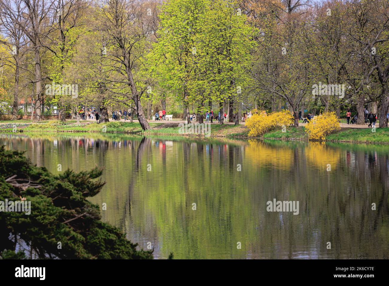 Pond in Lazienkowski Park also called Lazienki Park - Royal Baths ...