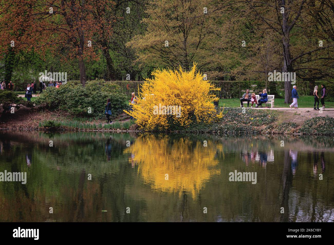 Pond in Lazienkowski Park also called Lazienki Park - Royal Baths ...