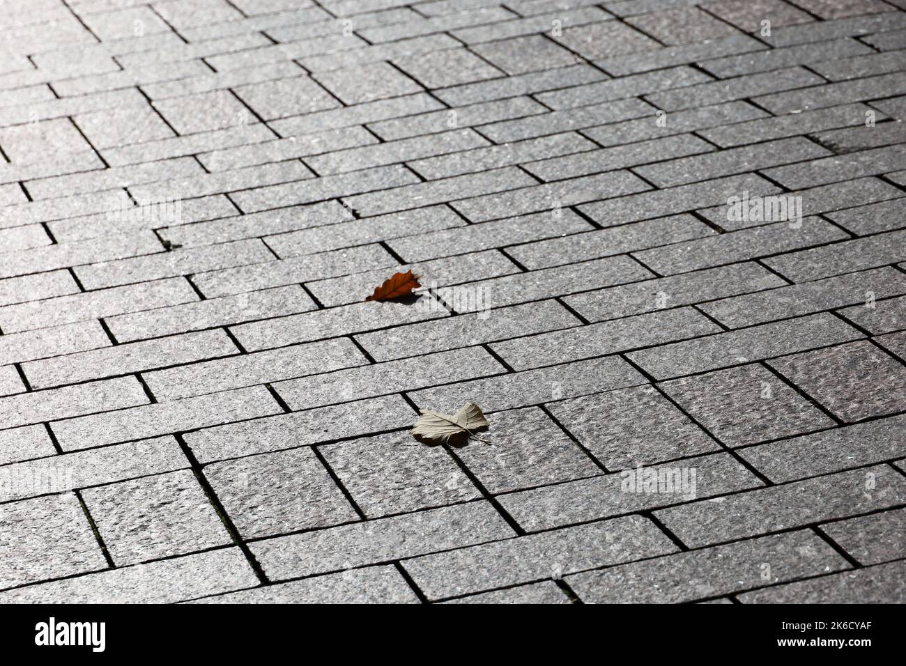 Stone pavement texture, cobbled street in sunlight. Road from tiles for ...