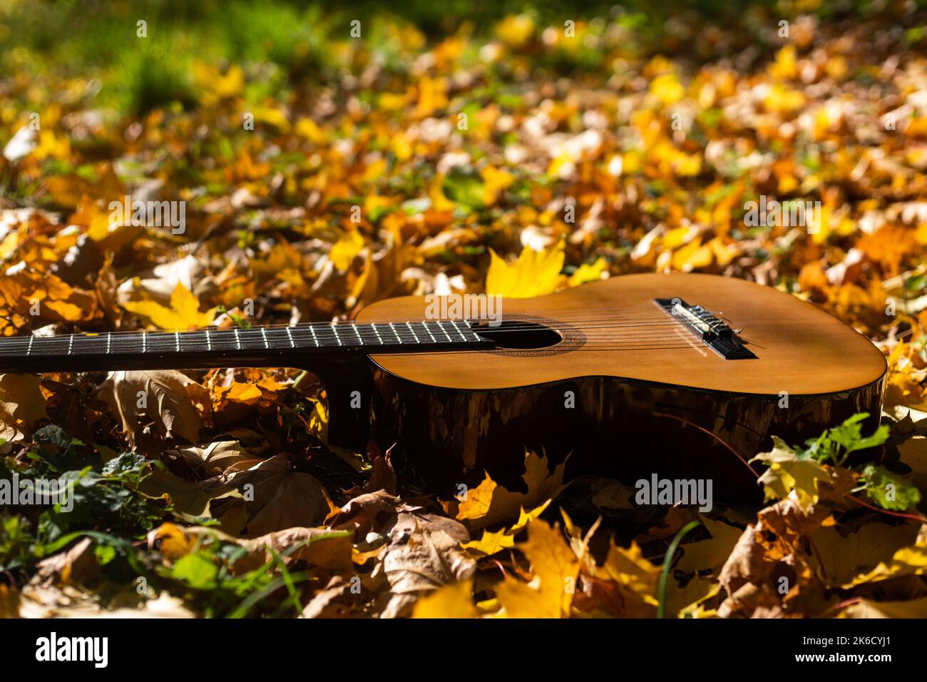 Autumn background with yellow leaves in the park and with a guitar ...