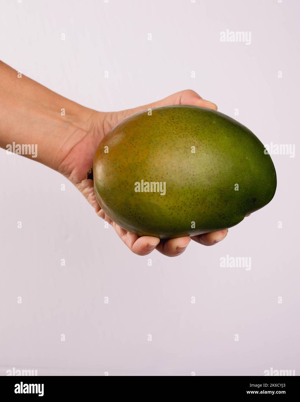 A human hand holding a mango isolated on white background Stock Photo ...