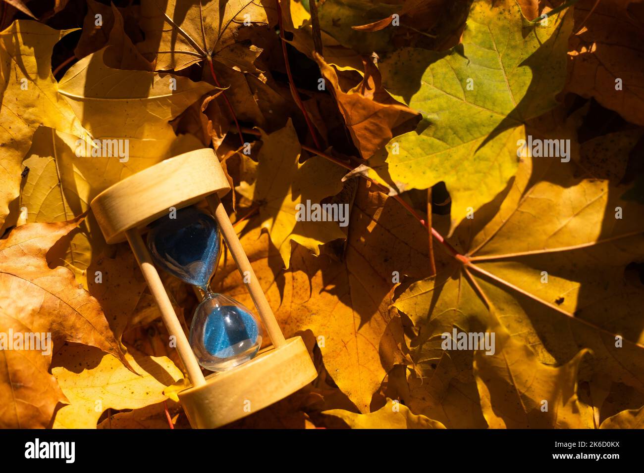 Hourglass and autumn leaves in the park. A symbol of passing time ...
