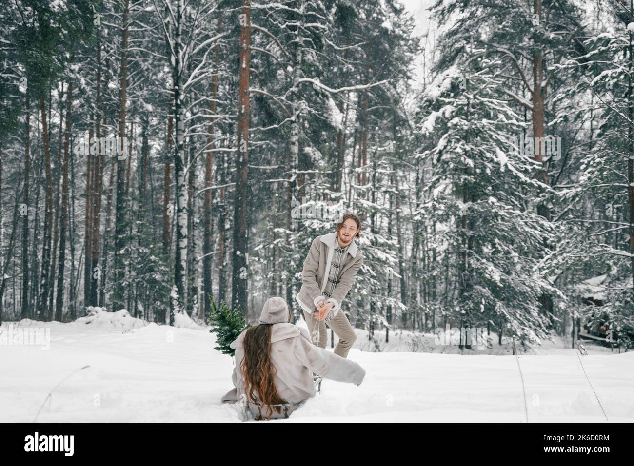 Sledging love romantic young couple girl,guy in snowy winter forest ...