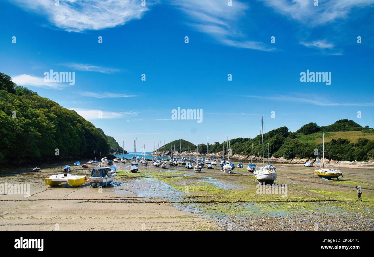Watermouth Harbour, North Devon Stock Photo - Alamy