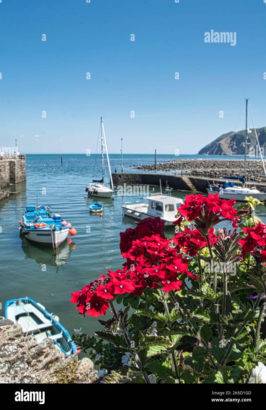 Boats in harbour at , Lynmouth, North Devon Stock Photo - Alamy