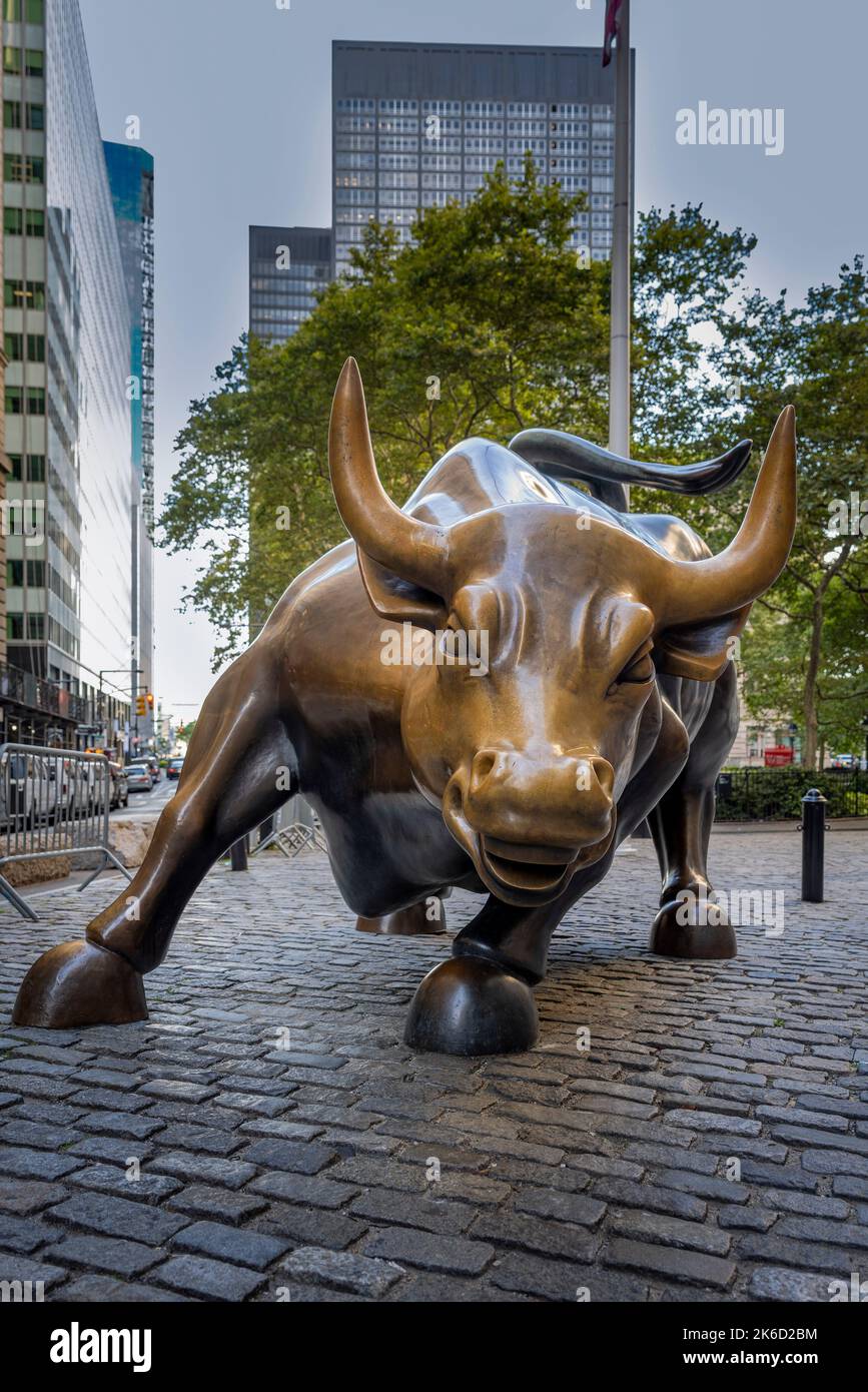 The "Charging Bull" bronze sculpture, Lower Manhattan, New York, USA Stock Photo - Alamy