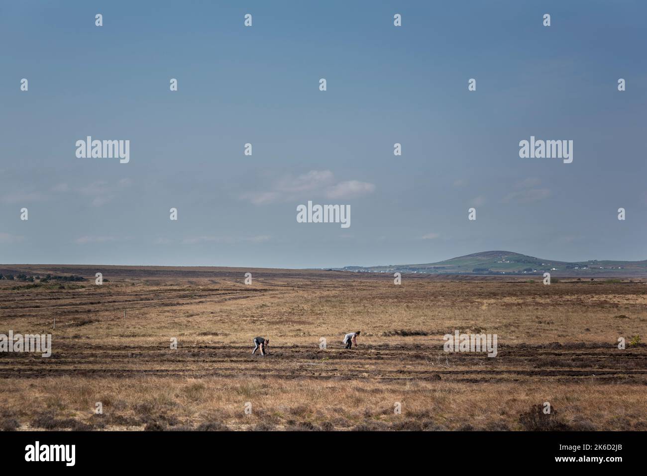 Turf cutting ireland hi-res stock photography and images - Alamy
