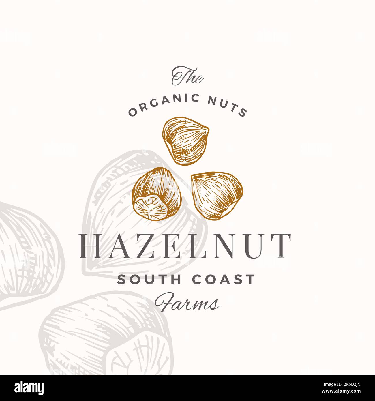 Hazelnut Logo Template. Hand Drawn Nuts Sketch with Retro Typography ...