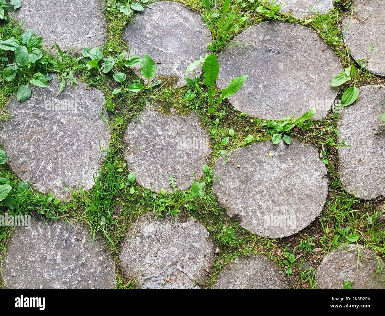 Stone Pathway on green grass background, top view Stock Photo - Alamy