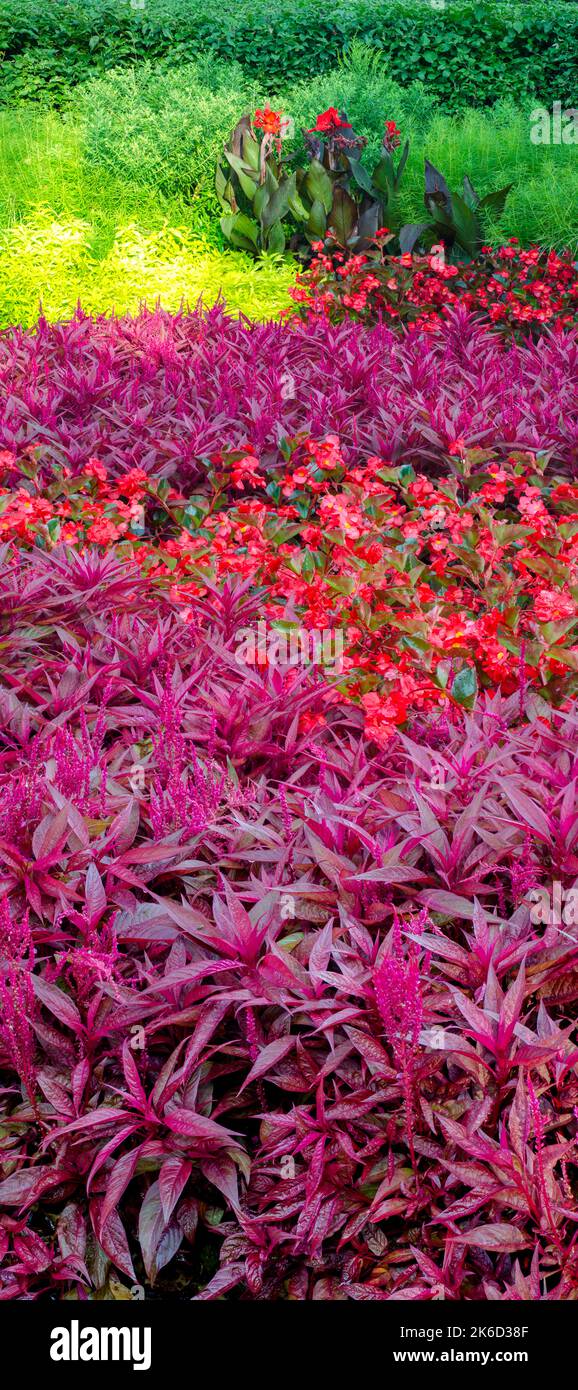 A vertical panorama of the gardens at Cantigny Gardens, DuPage County ...