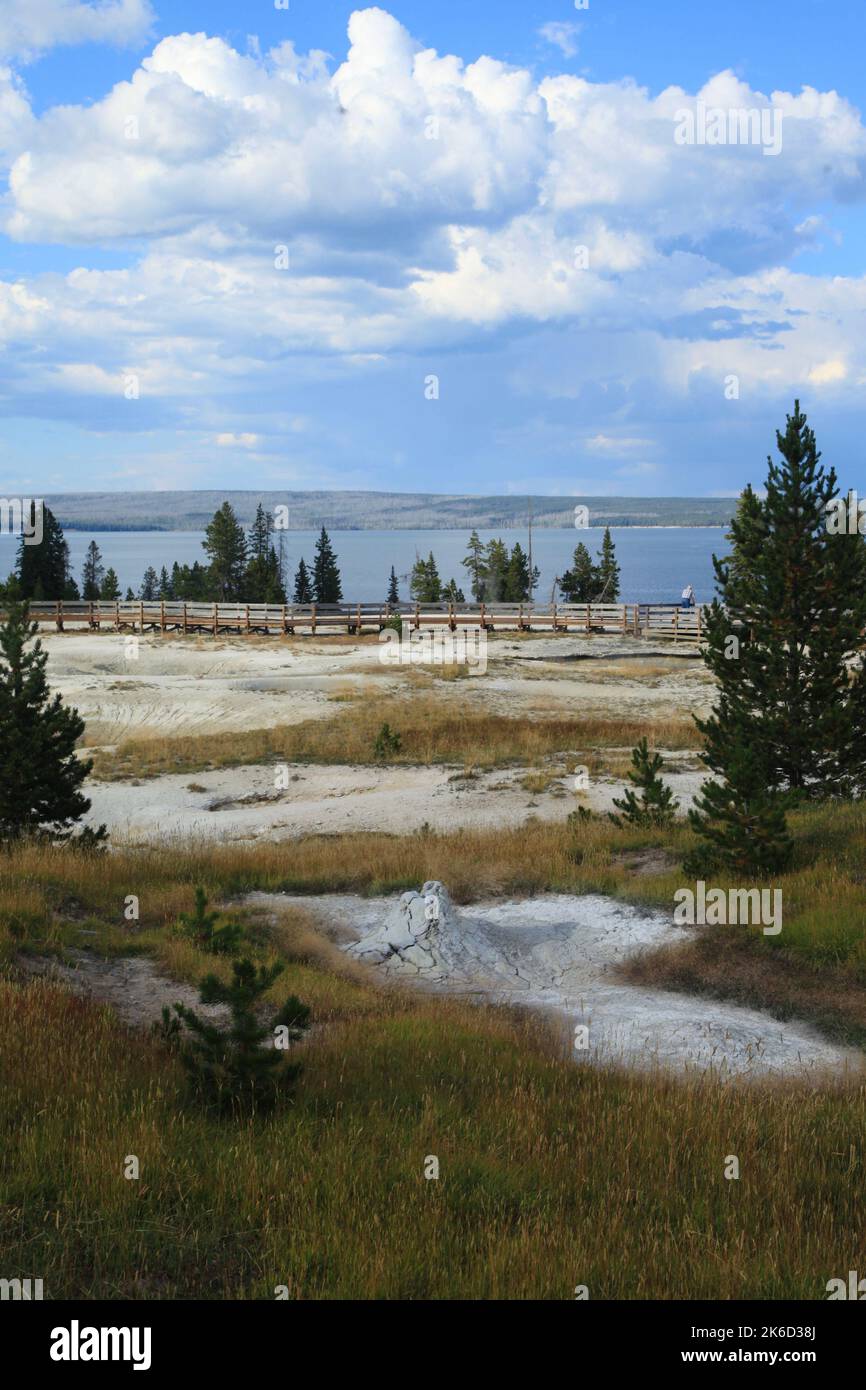 A vertical shot of a lake in a forest under the big white clouds Stock ...