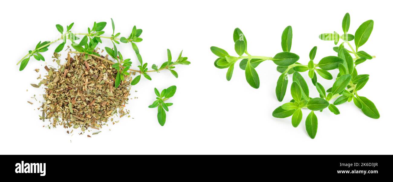 Green thyme with dried thyme leaves isolated on white background close up Stock Photo - Alamy