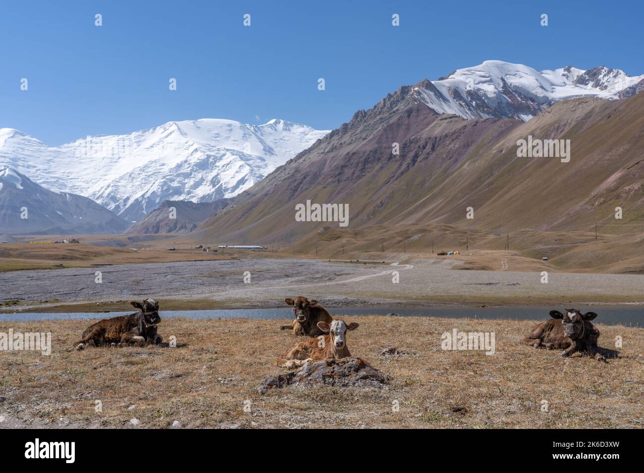 Scenic landscape view of Lenin Peak aka Ibn Sina peak Achik Tash ...