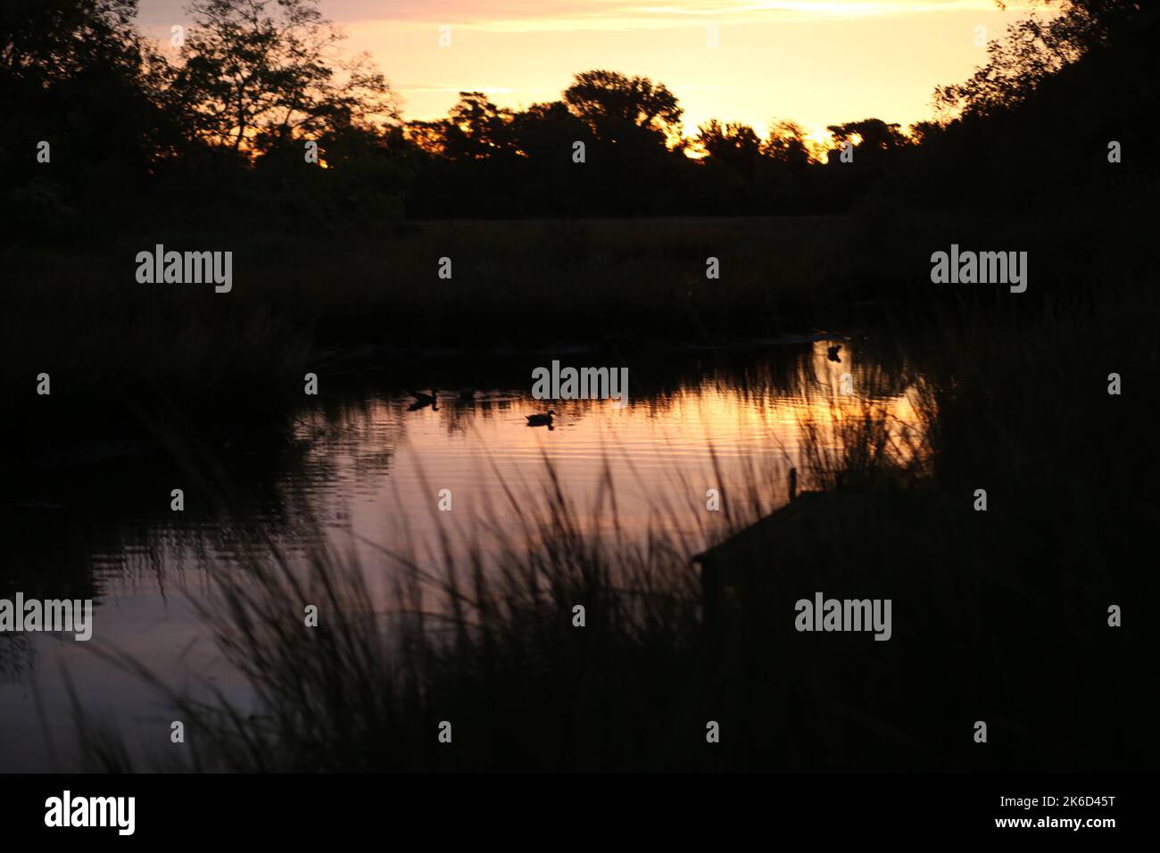 beautiful fall sunrise Stock Photo - Alamy