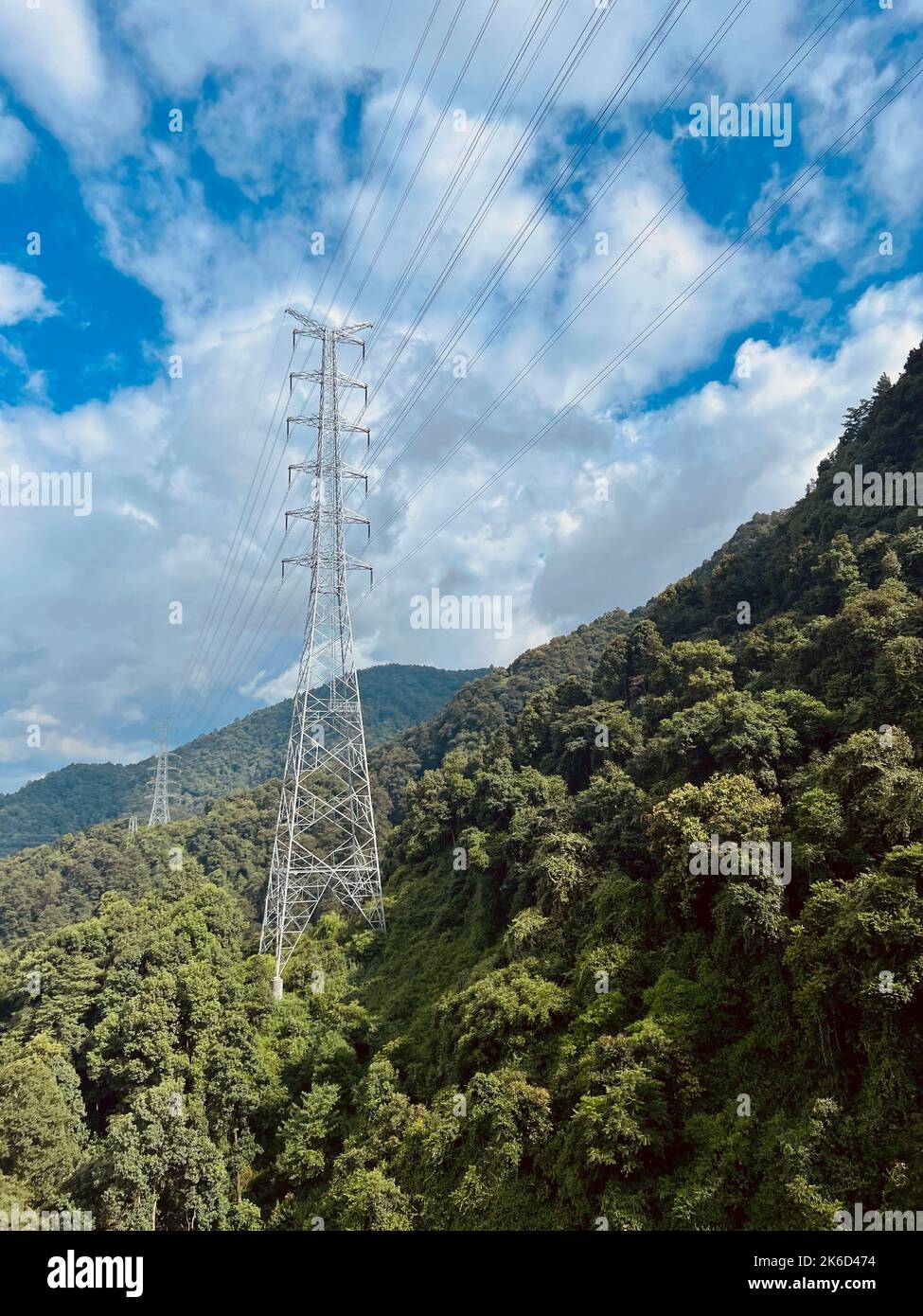 An electric post with cable wires surrounded by trees Stock Photo - Alamy