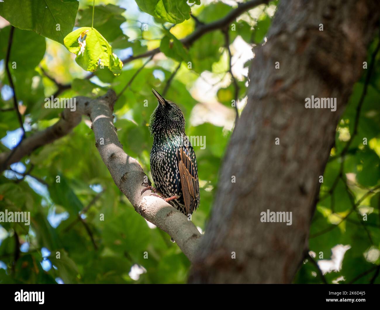 Siteing hi-res stock photography and images - Alamy