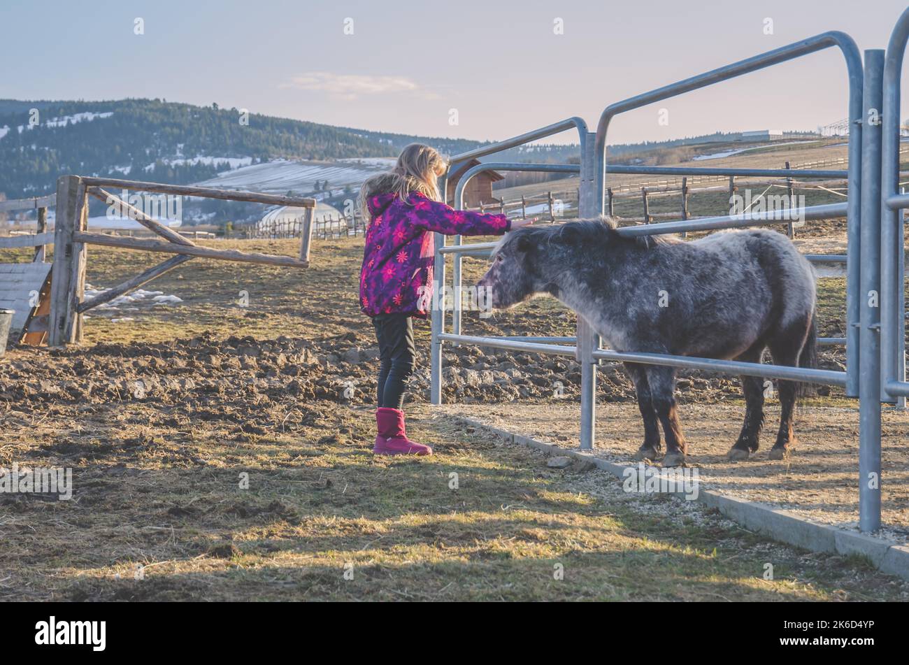 child looking to beautiful horse outdoors in stables Stock Photo - Alamy