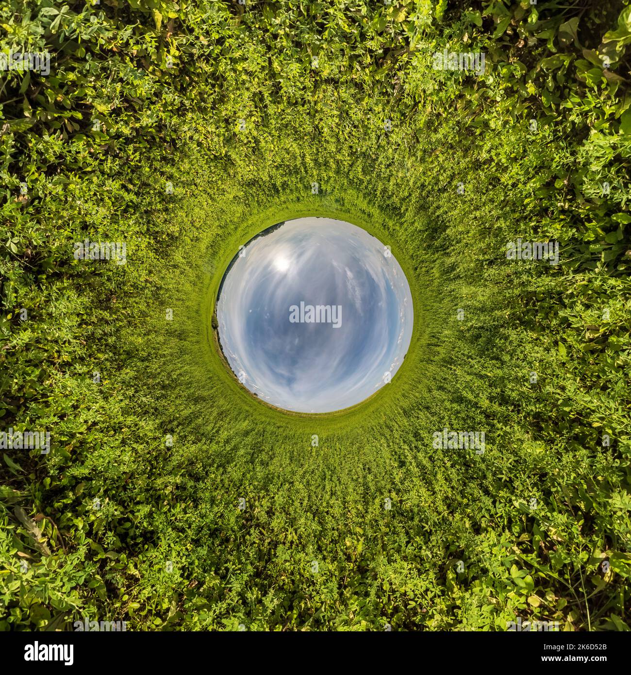 blue sphere little planet inside green grass round frame background ...