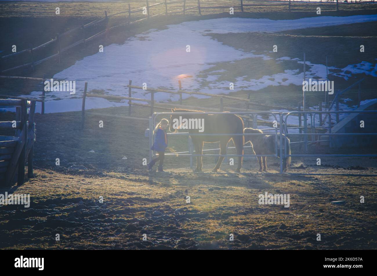 child looking to beautiful horse outdoors in stables Stock Photo - Alamy