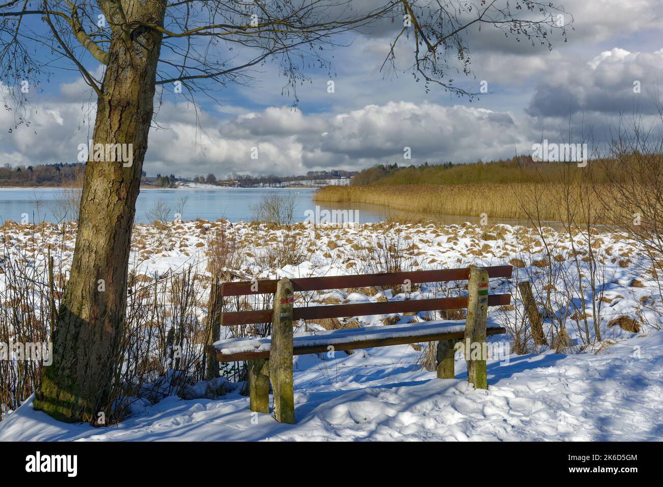 Lake Dreifelder Weiher,Westerwald region,Germany Stock Photo - Alamy