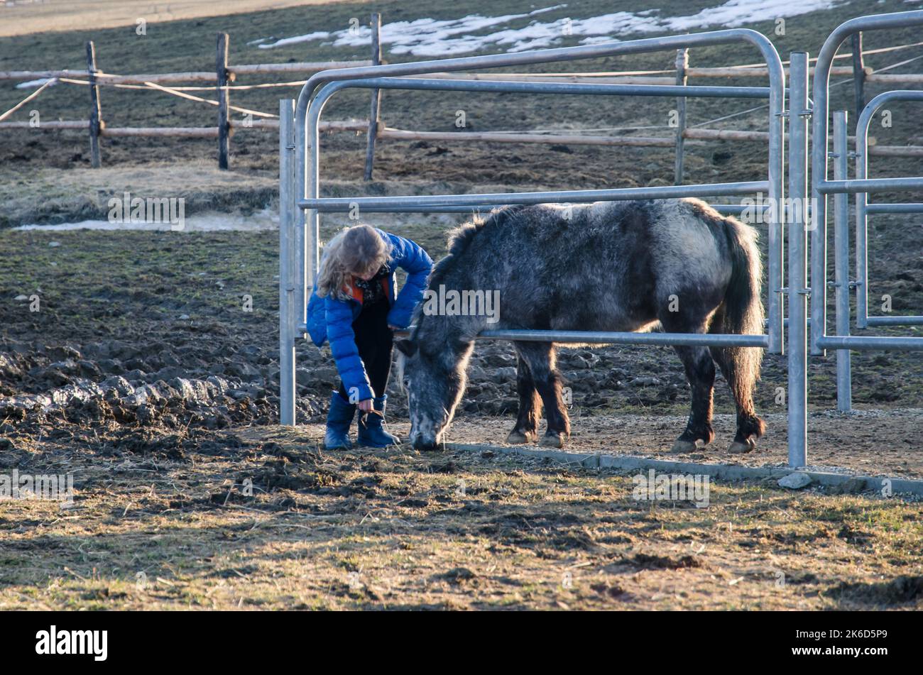 child looking to beautiful horse outdoors in stables Stock Photo - Alamy