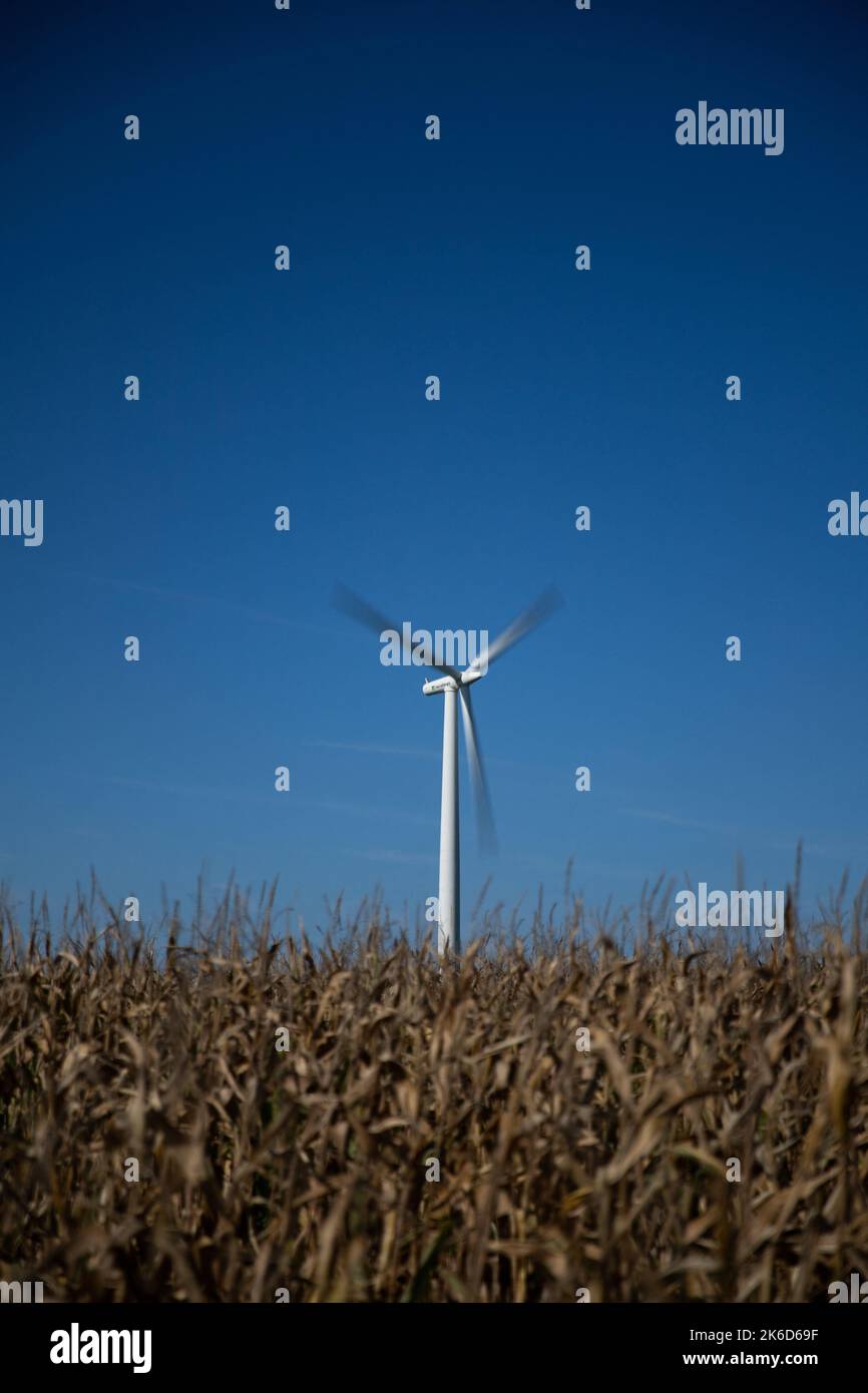 Wind turbine with moving blades in a parched corn field. Plouvien ...