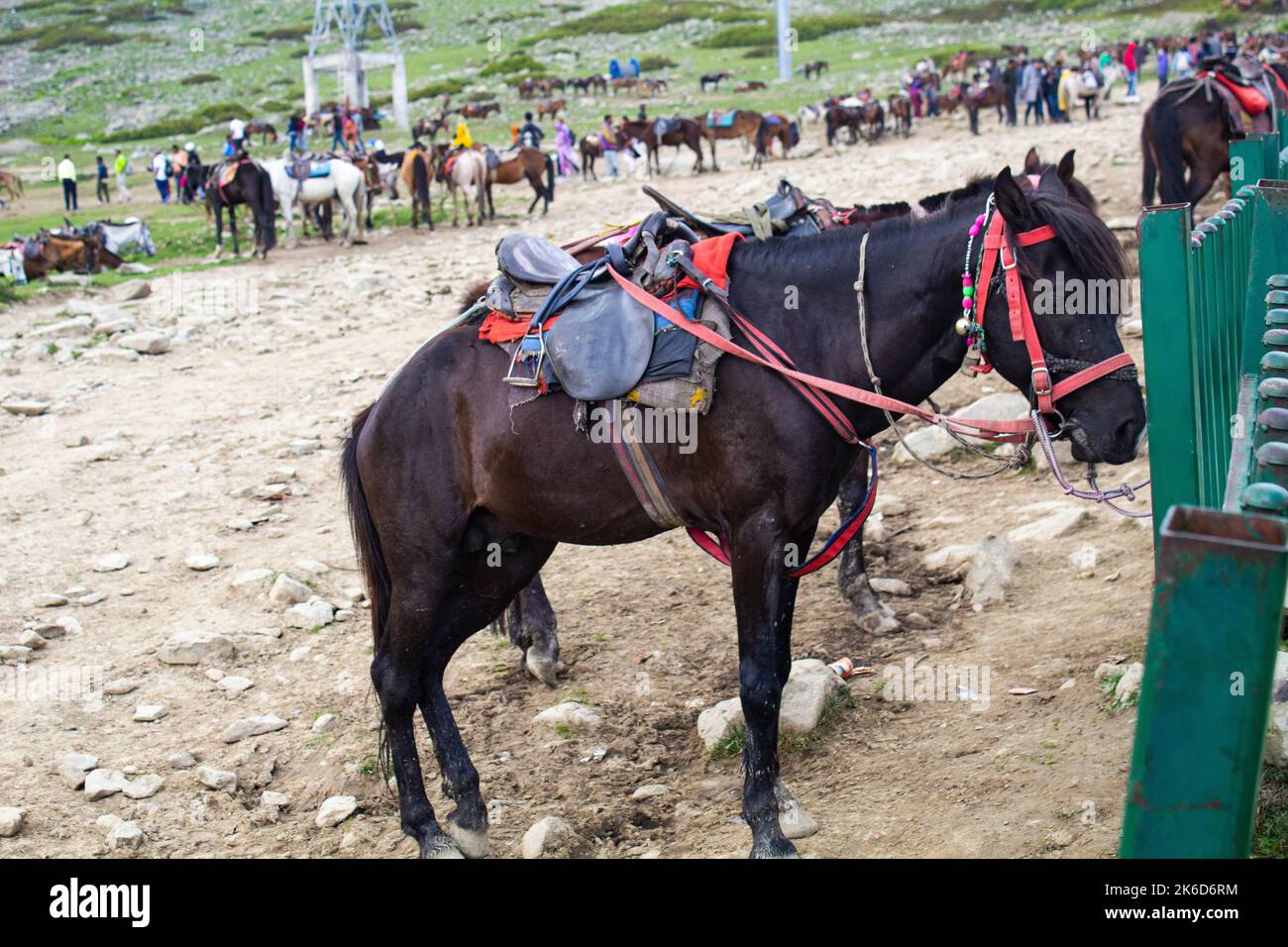 horse riding in kashmir, ropeway cable car, Gulmarg Gondola, Jammu and ...