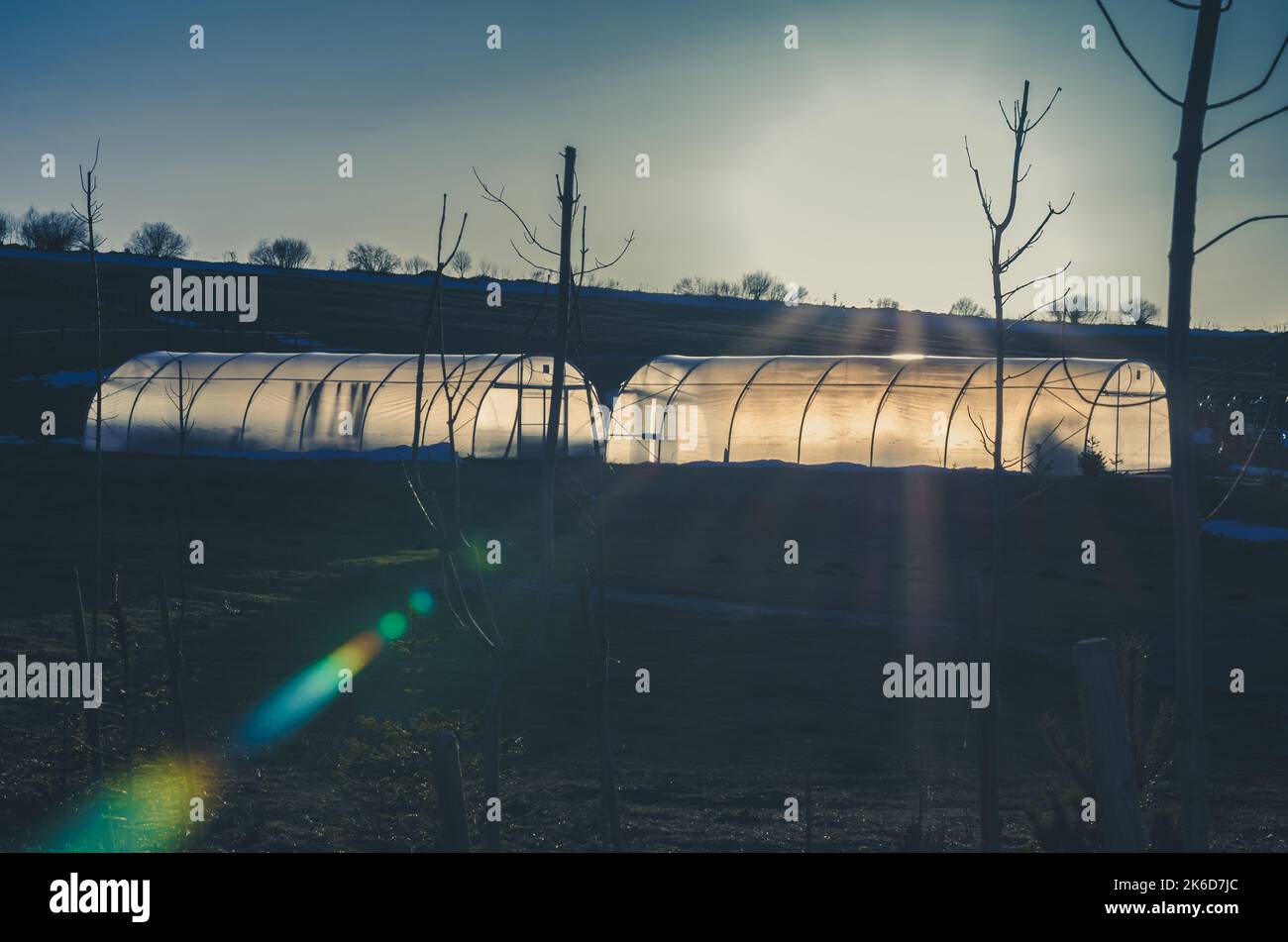 Frozen greenhouse hi-res stock photography and images - Alamy