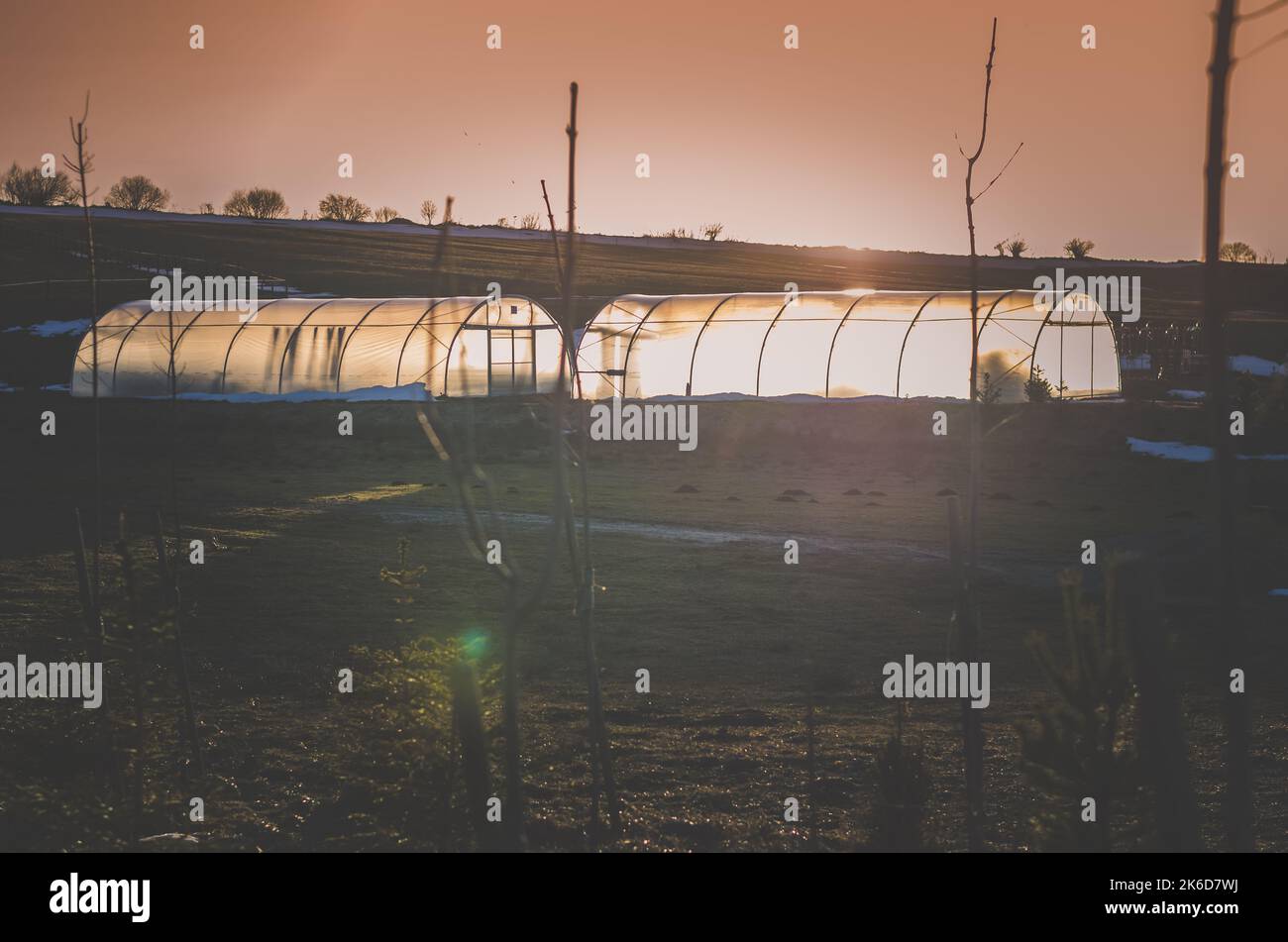 Frozen greenhouse hi-res stock photography and images - Alamy