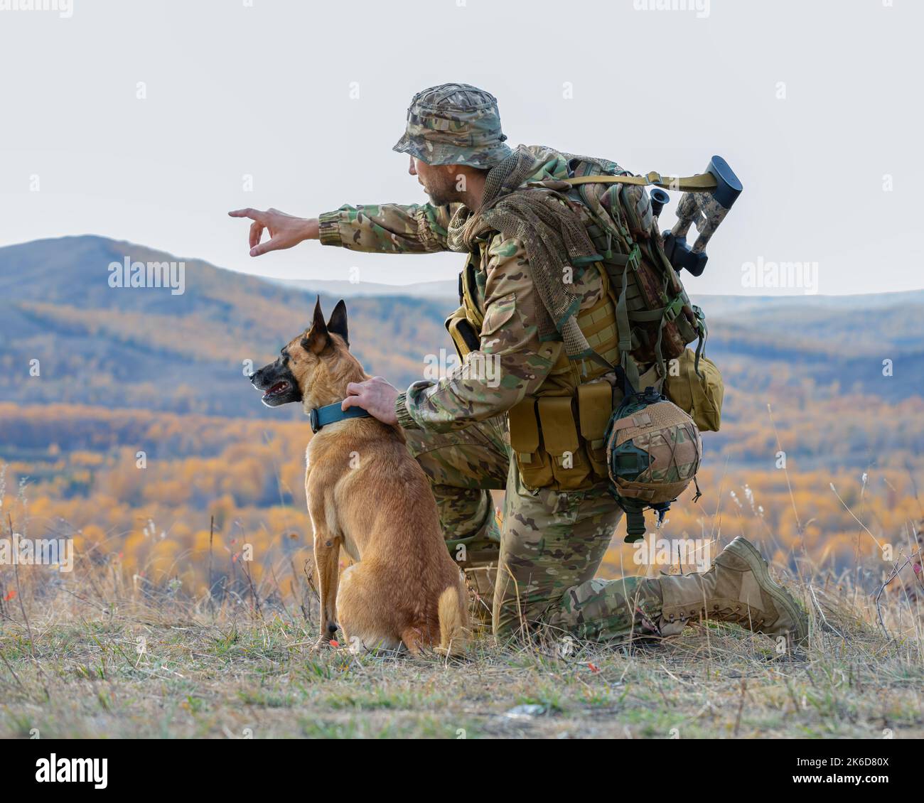 Soldier with a dog. The infantryman shows his dog the direction and ...