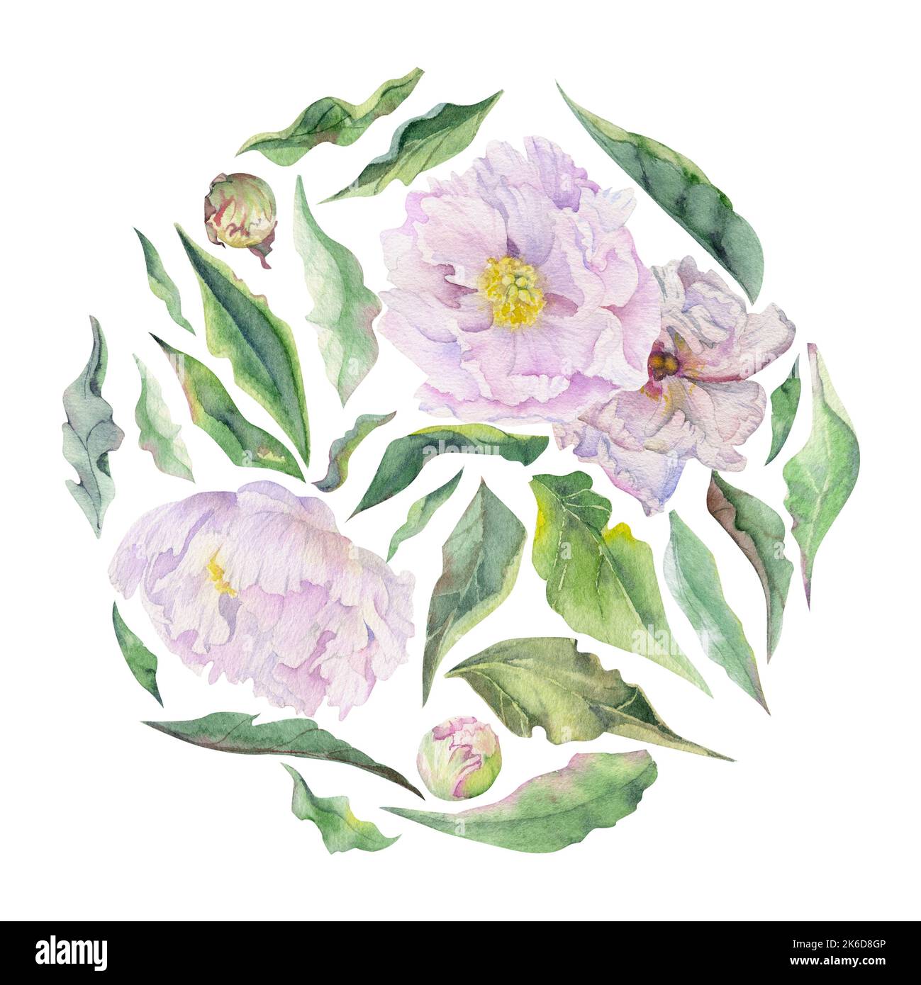 Watercolor circle frame arrangement with hand drawn delicate pink peony ...