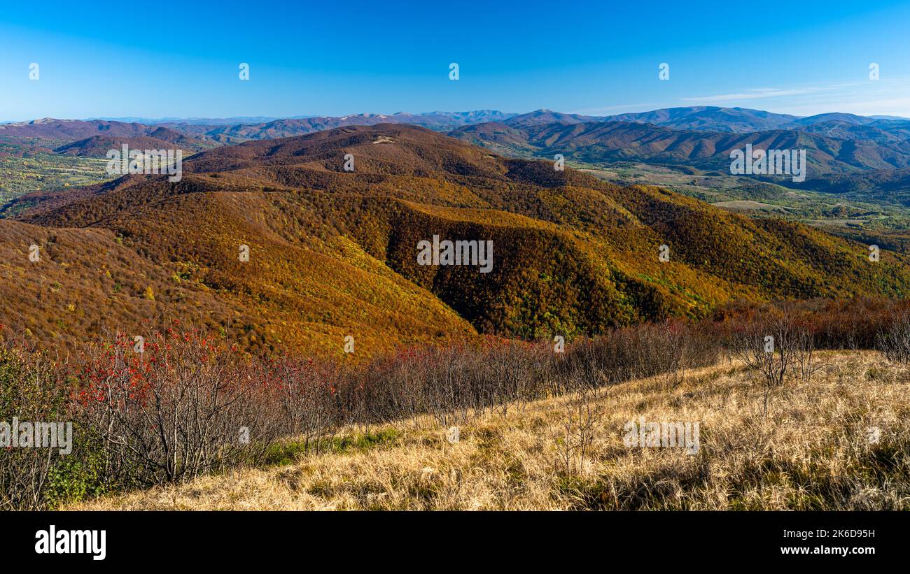 Colorful autumn mountain landscape. Ukrainian part of the Bieszczady ...