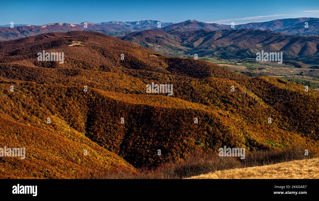 Colorful autumn mountain landscape. Ukrainian part of the Bieszczady ...