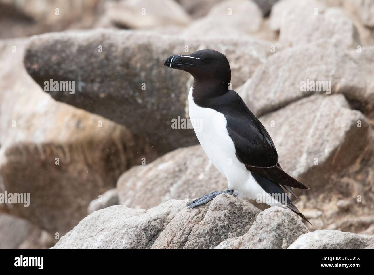 Varanger penisula hi-res stock photography and images - Alamy