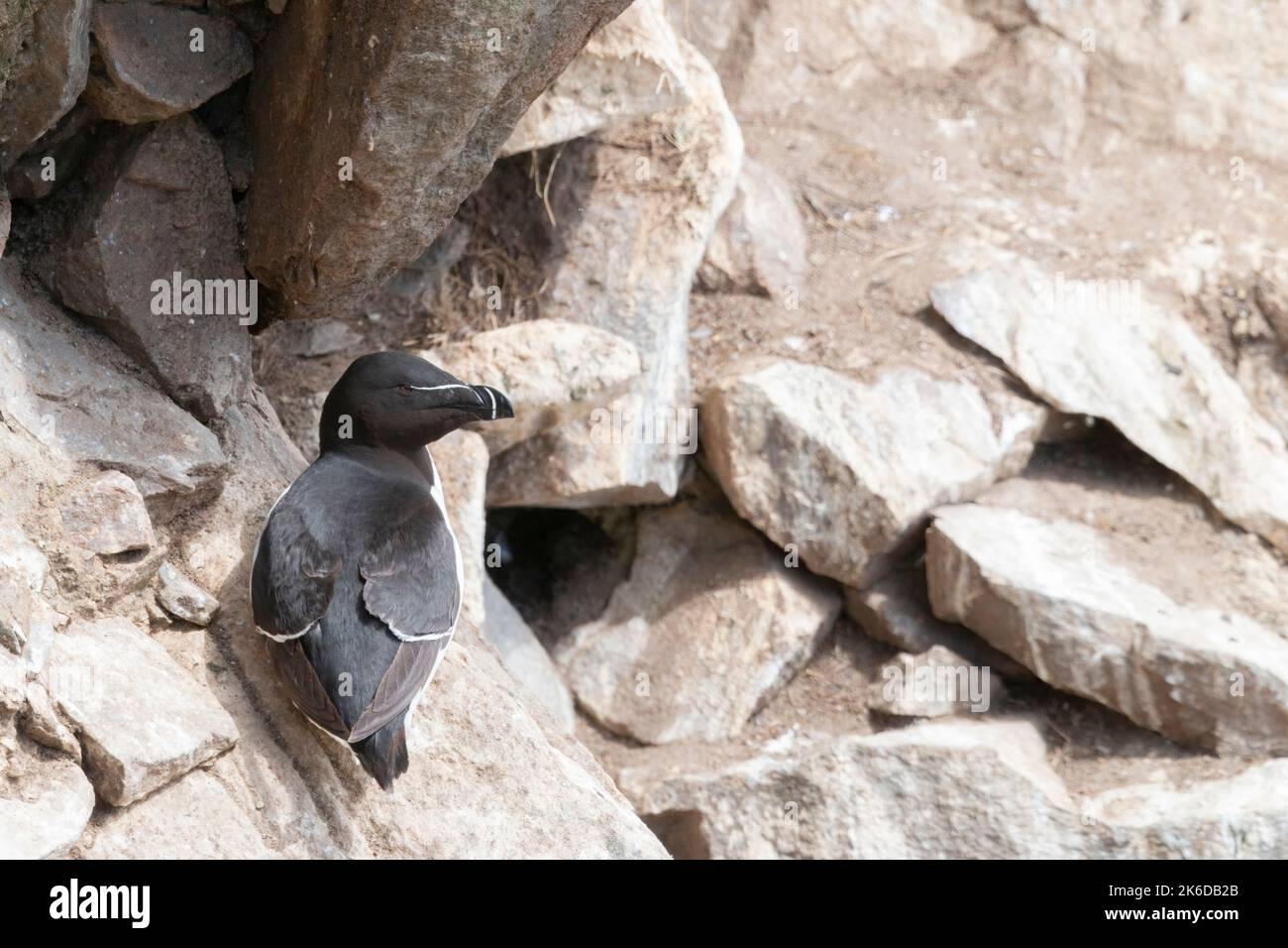 Varanger penisula hi-res stock photography and images - Alamy