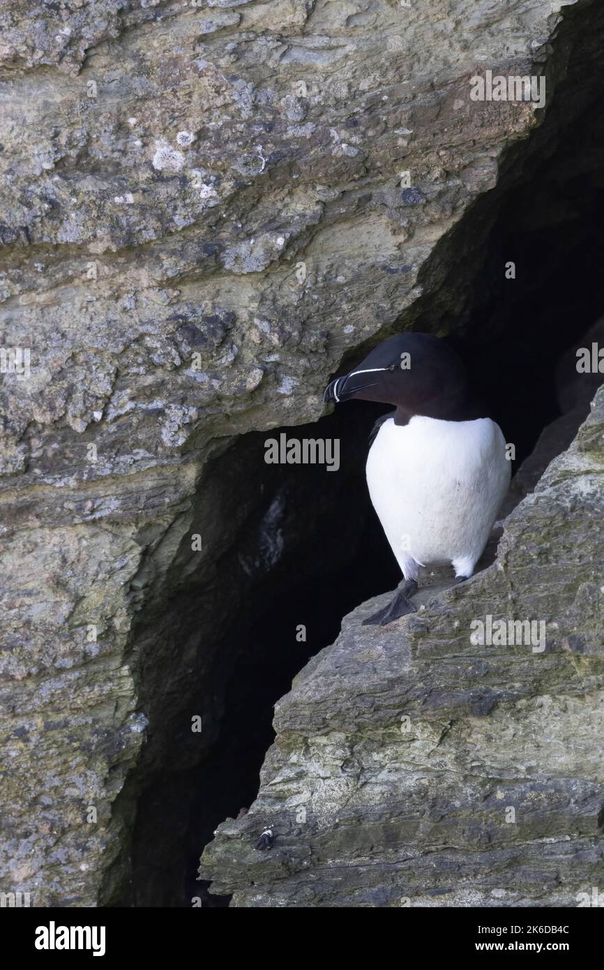 Varanger penisula hi-res stock photography and images - Alamy