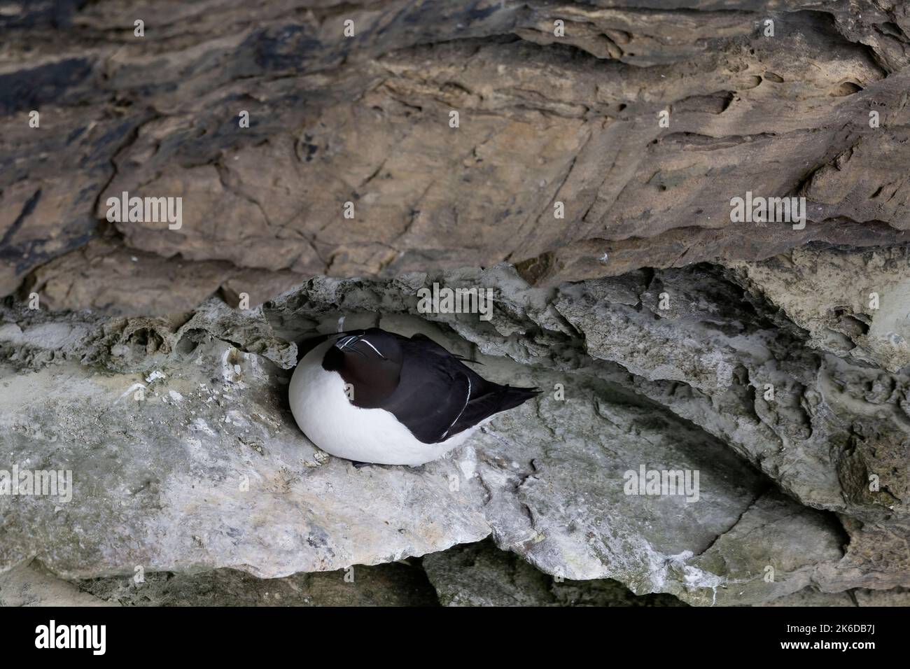Varanger penisula hi-res stock photography and images - Alamy