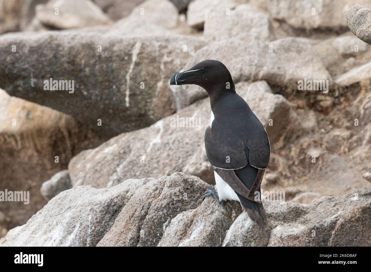 Varanger penisula hi-res stock photography and images - Alamy