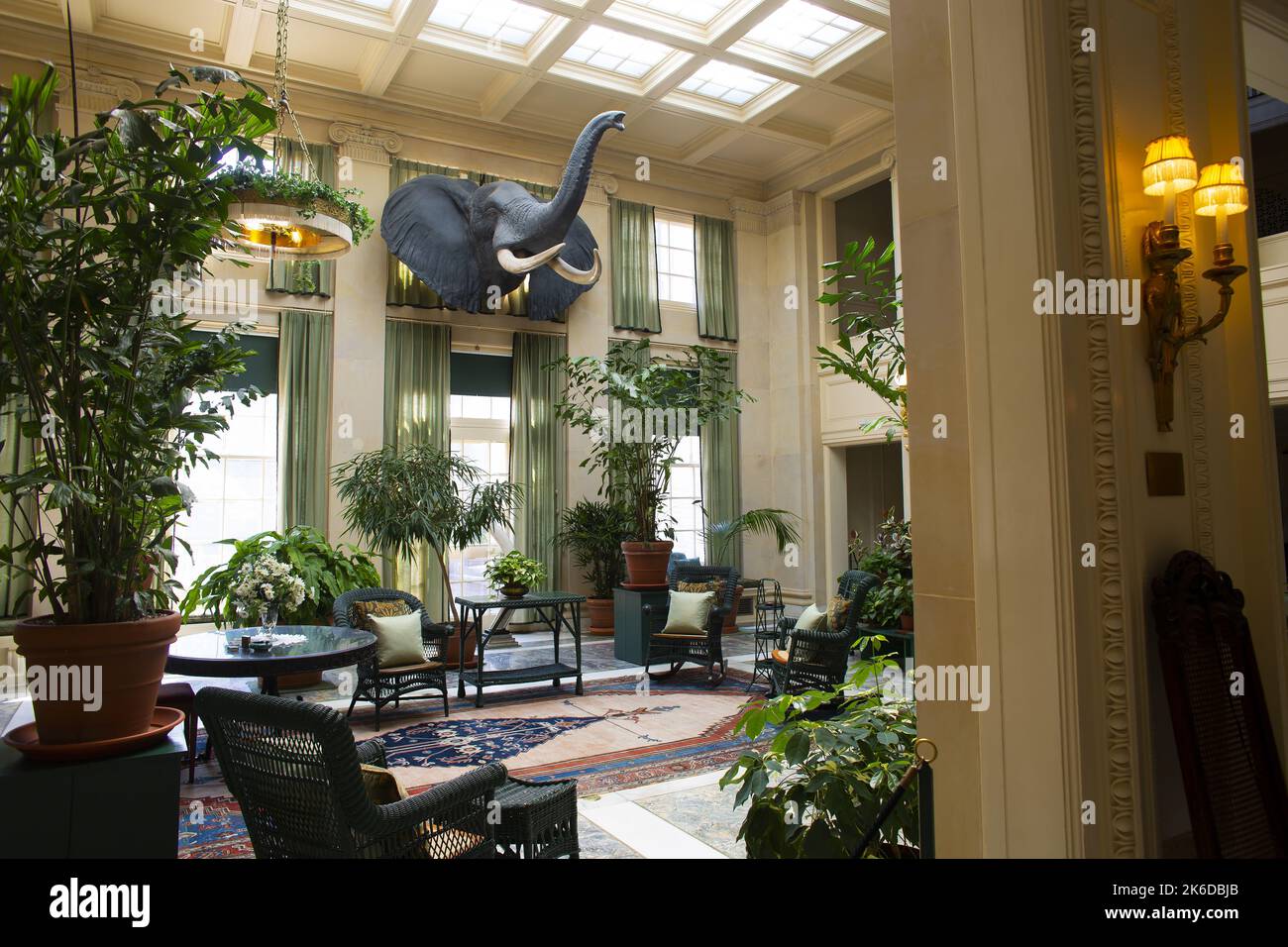 2022 united states new york rochester george eastman museum koda hi-res ...